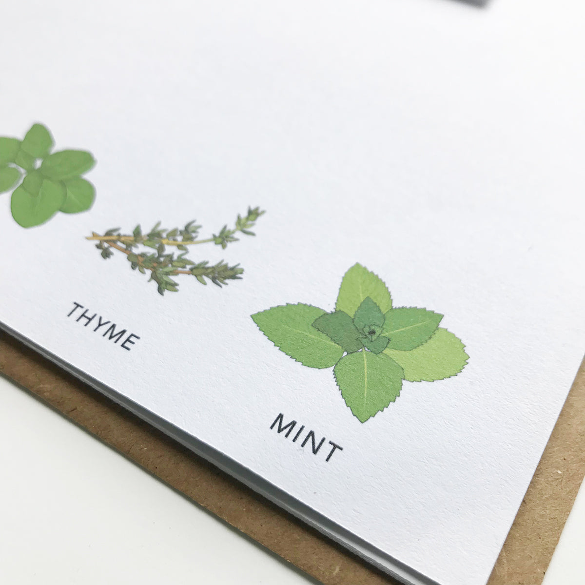 Kitchen Herbs Writing Set – katebroughton