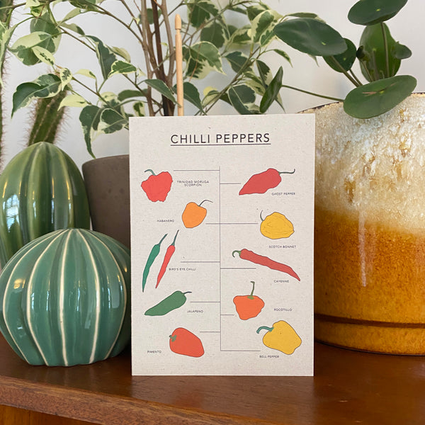 Chilli Peppers Illustrated Card – katebroughton