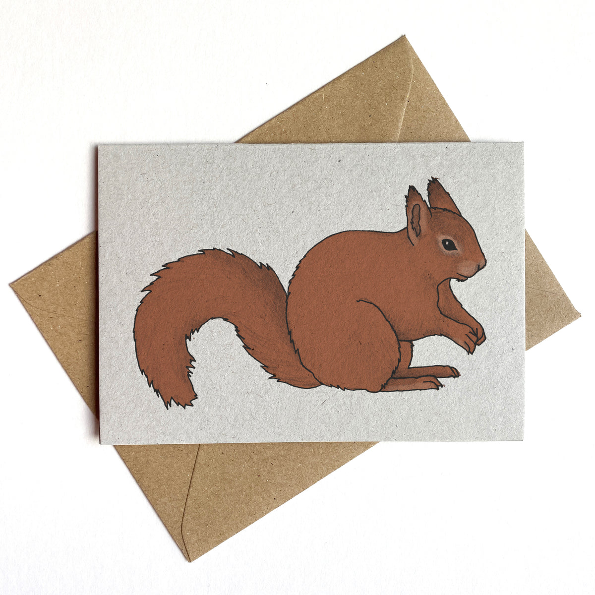 Red Squirrel Illustrated Card – katebroughton