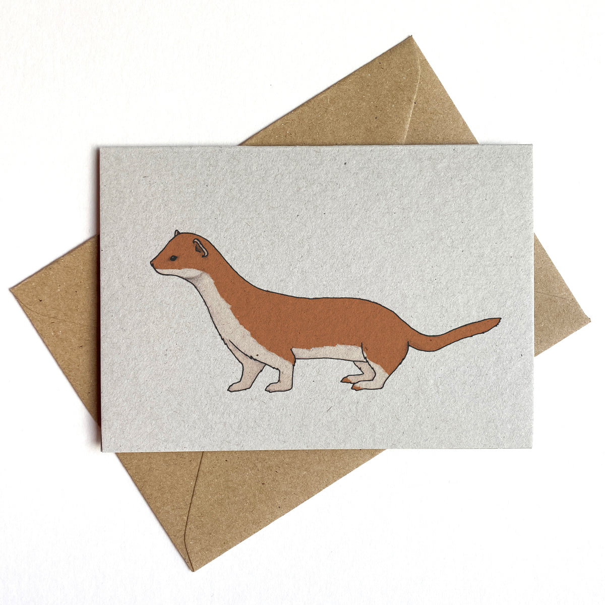 Stoat Illustrated Card – katebroughton